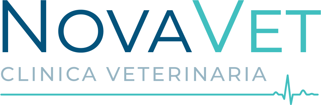 NovaVet Clinica Veterinaria Palestrina