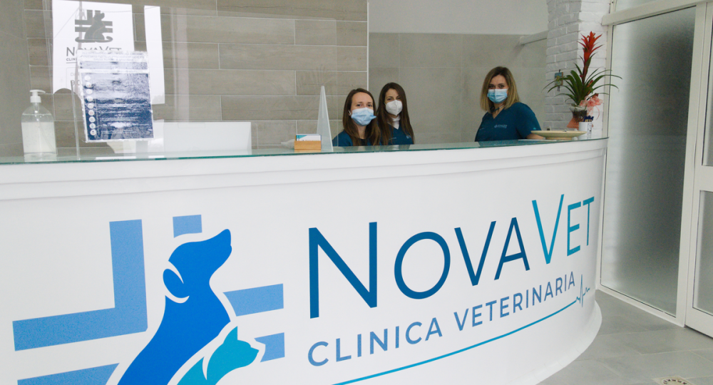 NovaVet Clinica Veterinaria Palestrina